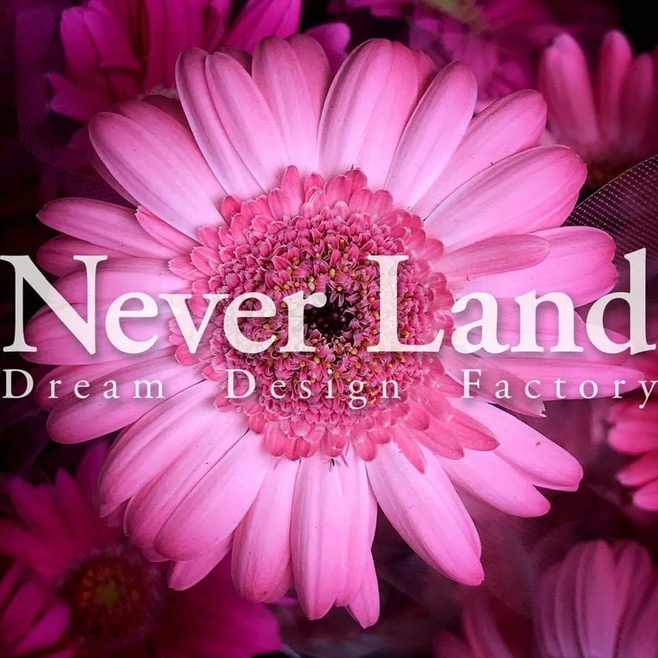 NeverLandのNFT | Adam byGMO