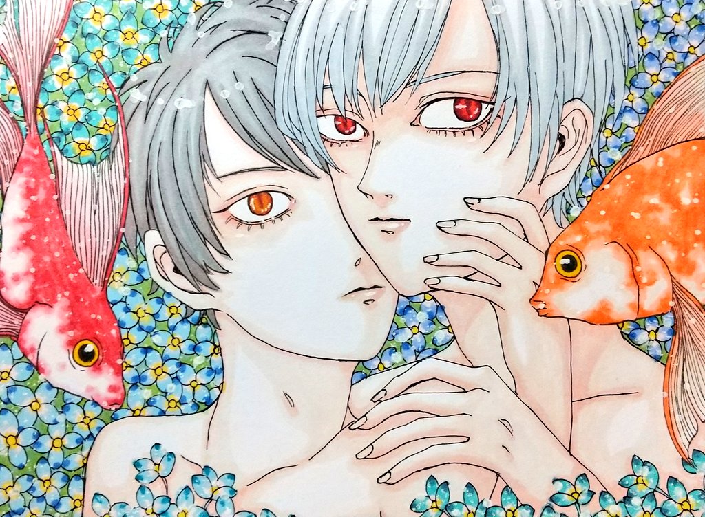 あおさめのシリーズ | Adam byGMO