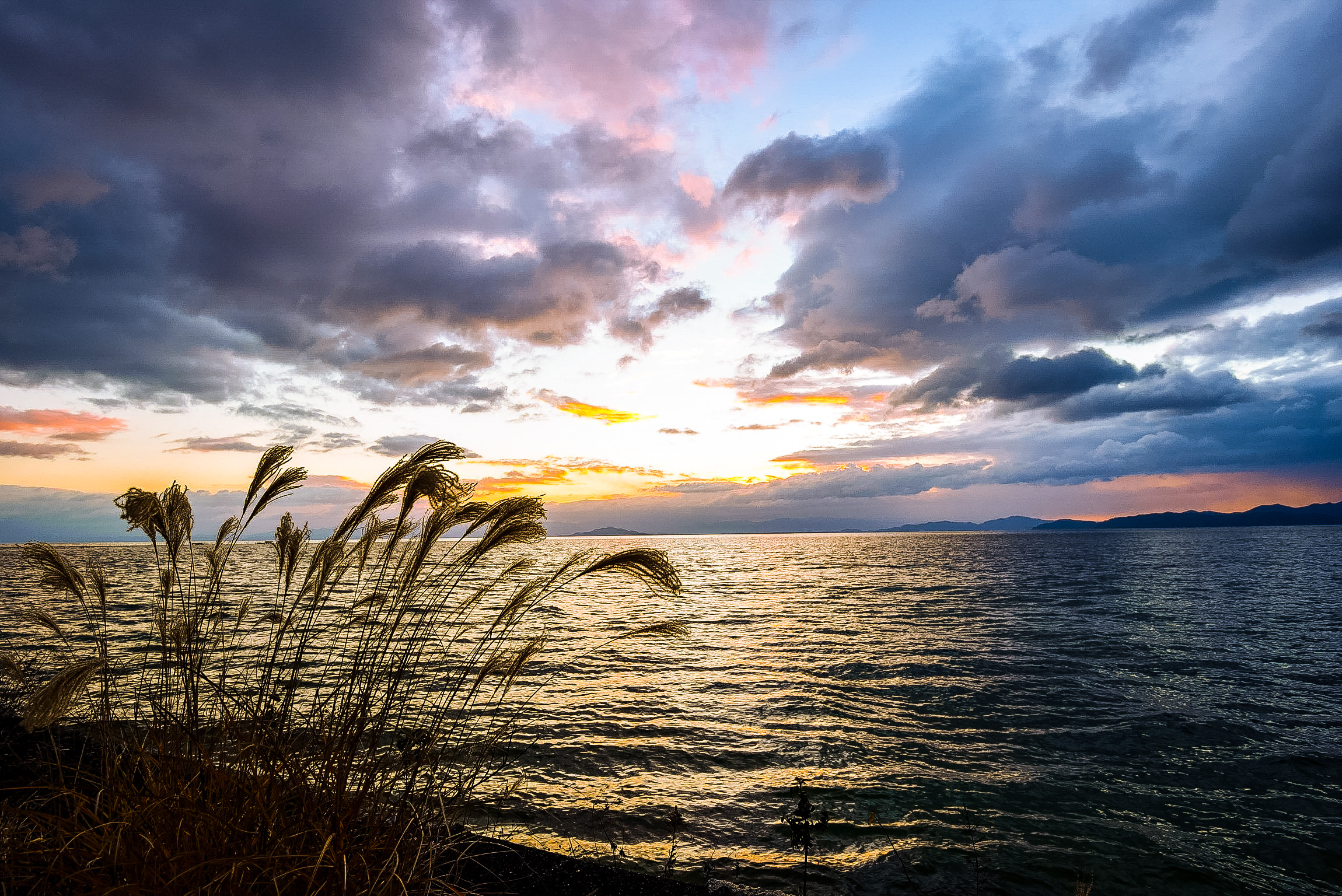 TakemaruのNFT | Adam byGMO