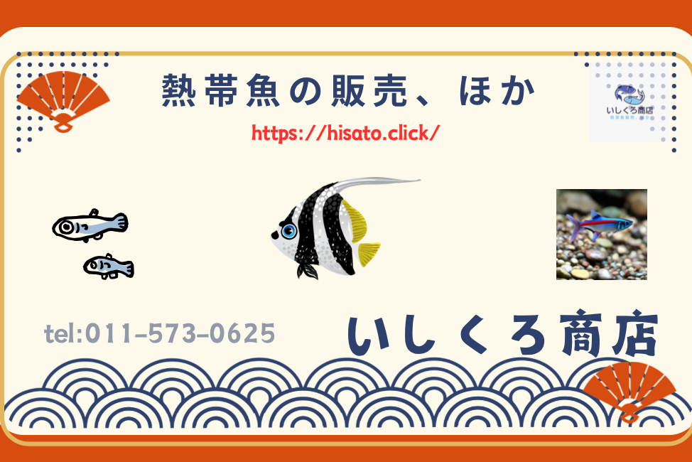 NFTーARTSーMUSICSーFILES | Adam byGMO