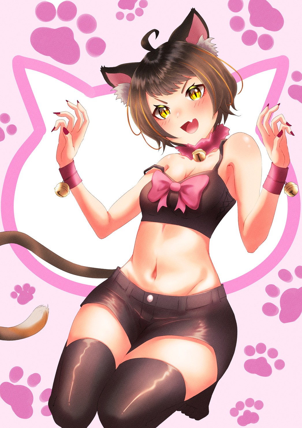 べっこう猫の取引履歴 | Adam byGMO