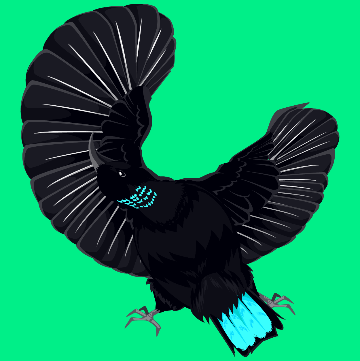 コウロコフウチョウ #2/5 - Generous NFTのNFT | Adam byGMO