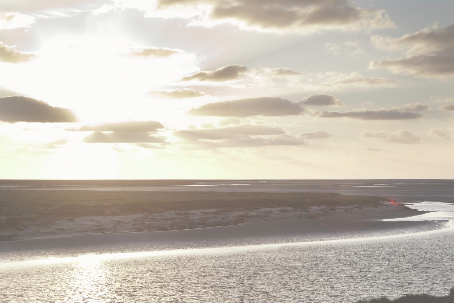 DIARY No.010 #1/10 - MFPのNFT | Adam byGMO