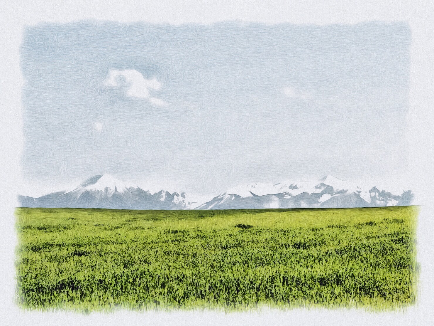 Conet Partnersプロフィール | Adam byGMO