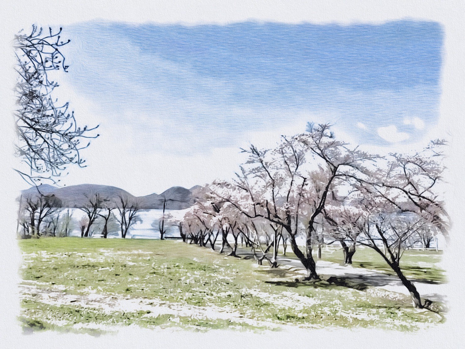 Conet Partnersプロフィール | Adam byGMO