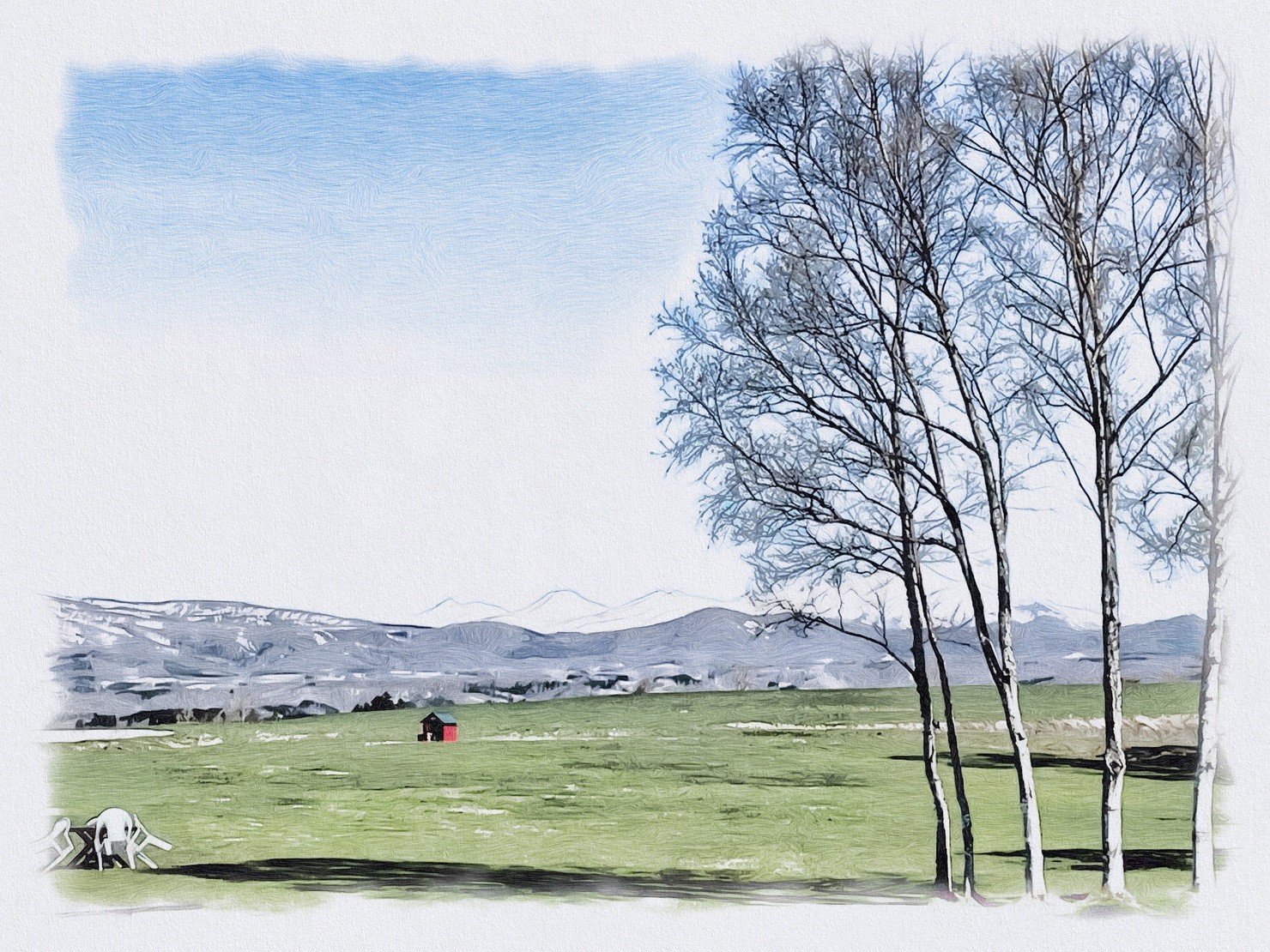 Conet PartnersのNFT | Adam byGMO