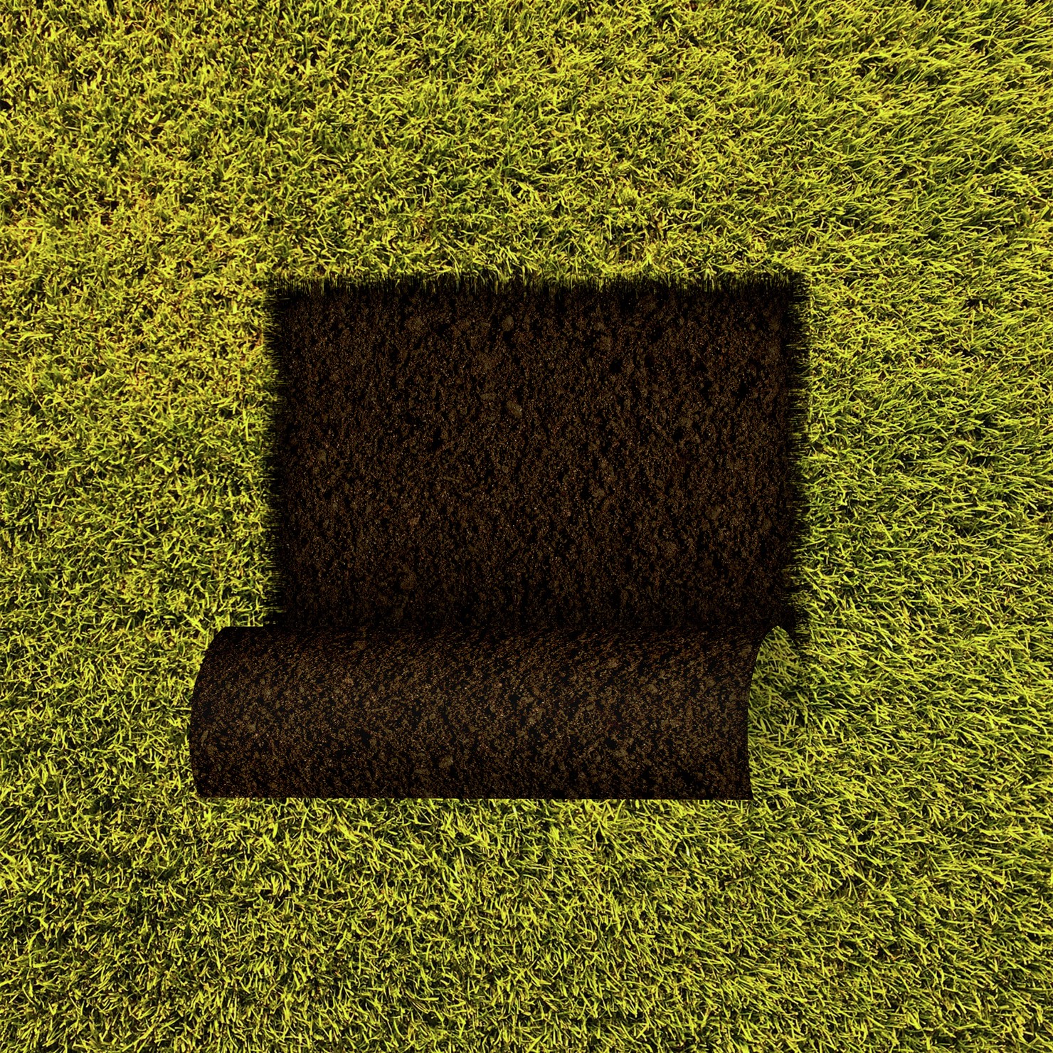 Mekure 1. Grass 3. - Kari-Flower.のNFT | Adam byGMO