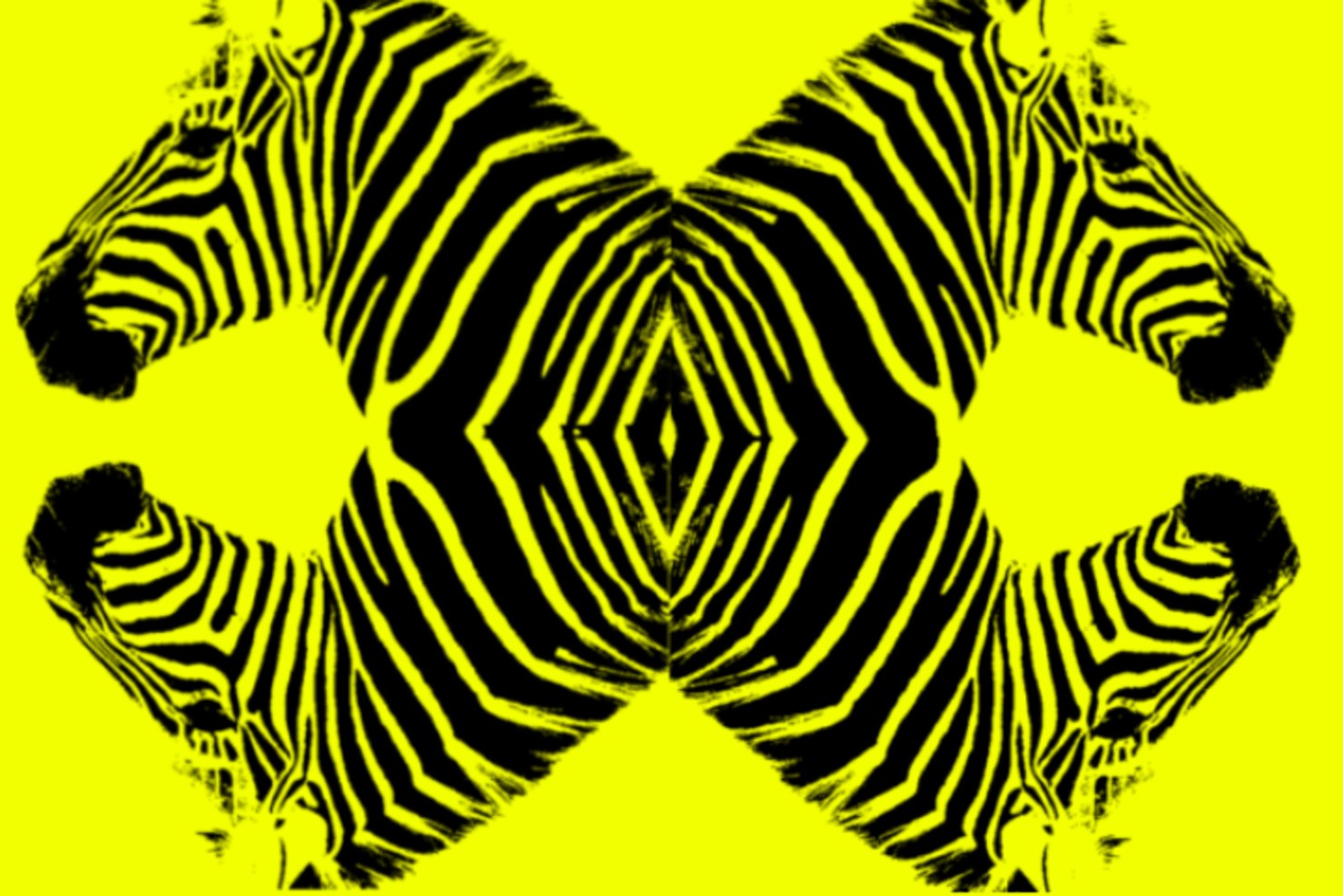 zebra - UCHINOKOSTUDIO_foNfoNのNFT | Adam byGMO