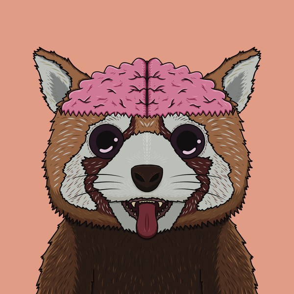 MUKIDASHI | Red panda - Sammy@オーナー特典ありのNFT | Adam byGMO