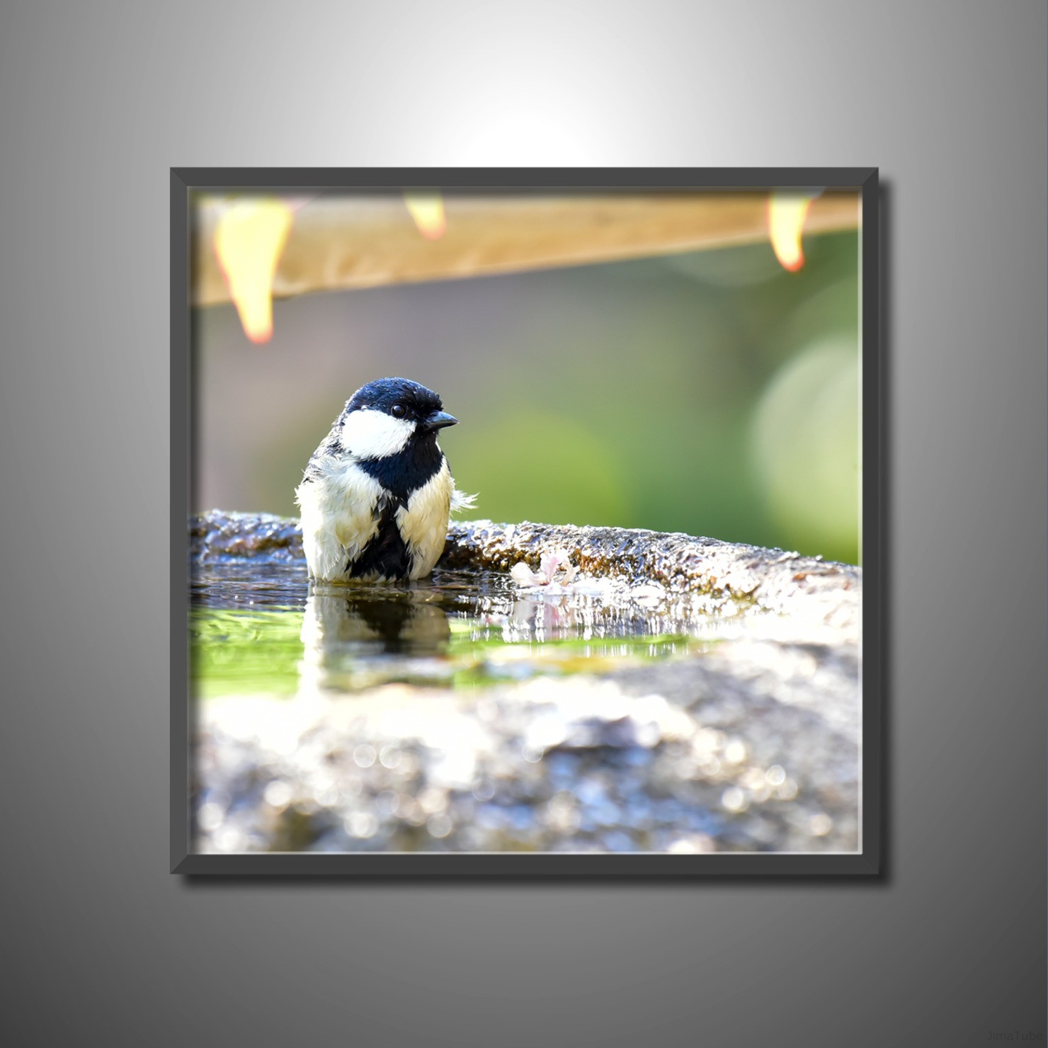 summyプロフィール | Adam byGMO