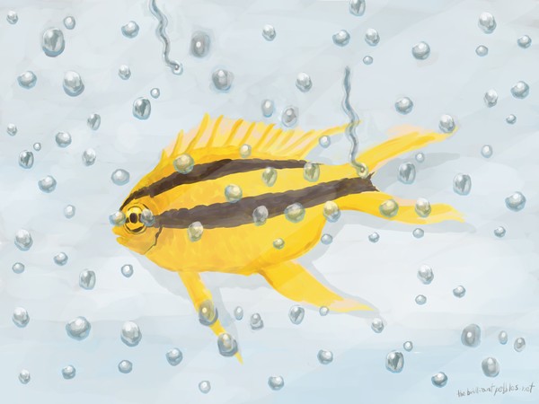 FISH IN WATER DROPLETS.02 - brilliantpebbles-works-のNFT | Adam byGMO