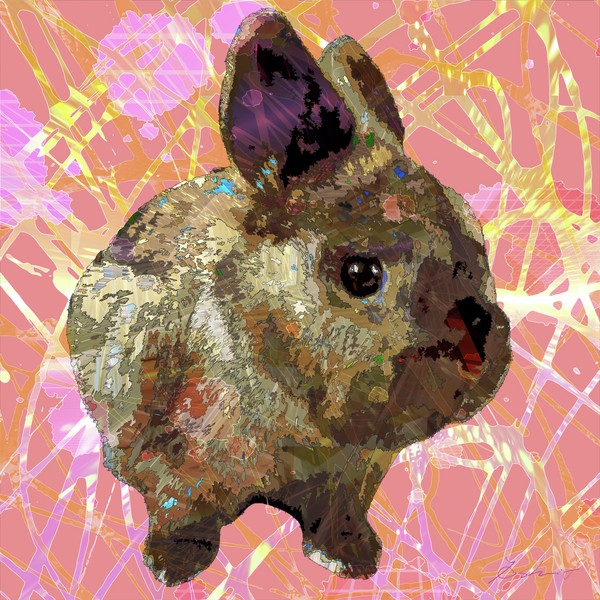 Abstract-world-062 ウサギの小太郎 #1/3 - Yoshi-f-JapanのNFT | Adam byGMO