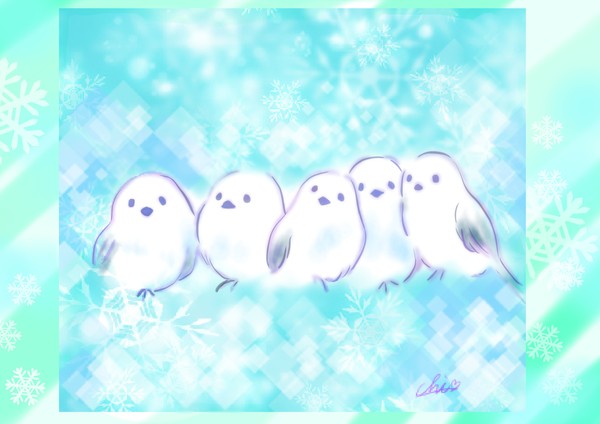 冬色ばーど #2/10 - kiwiのNFT | Adam byGMO