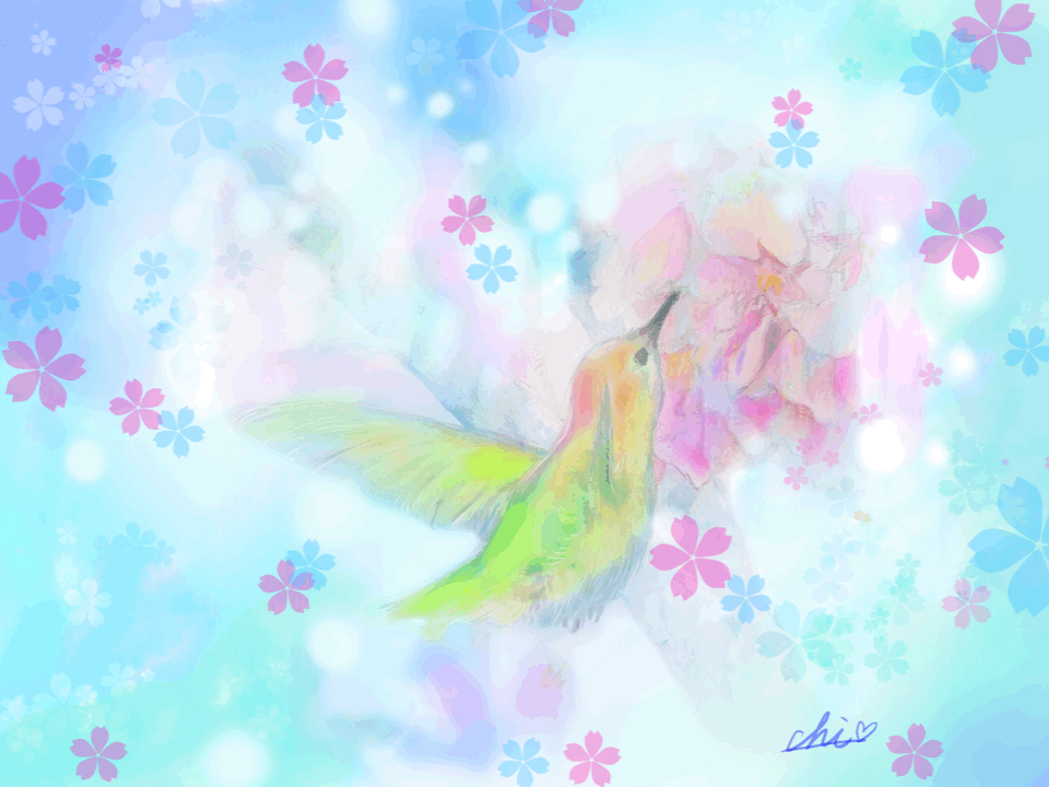 Hello,hummingbird! gif ver. #1/2 - kiwiのNFT | Adam byGMO