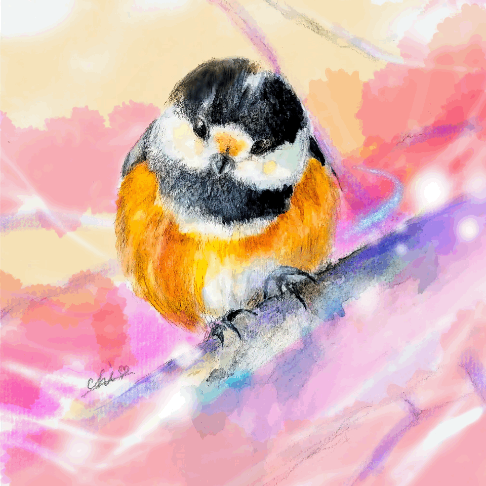 Cute! gif ver. #3/3の取引履歴 | Adam byGMO