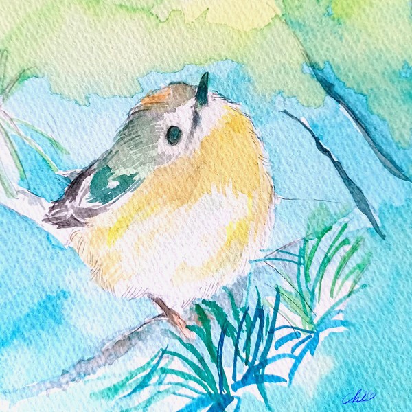 天を仰ぐ #1/5 - kiwiのNFT | Adam byGMO