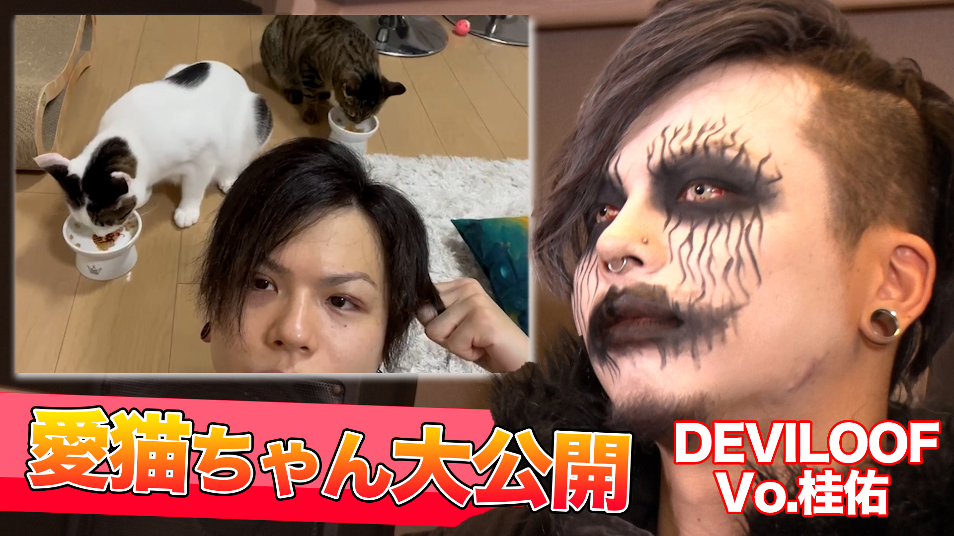 DEVILOOF_VO.桂佑と愛猫プライベート動画 #473/2000 - 「全力アピール～アダムシアター～」NFTストアのNFT | Adam byGMO