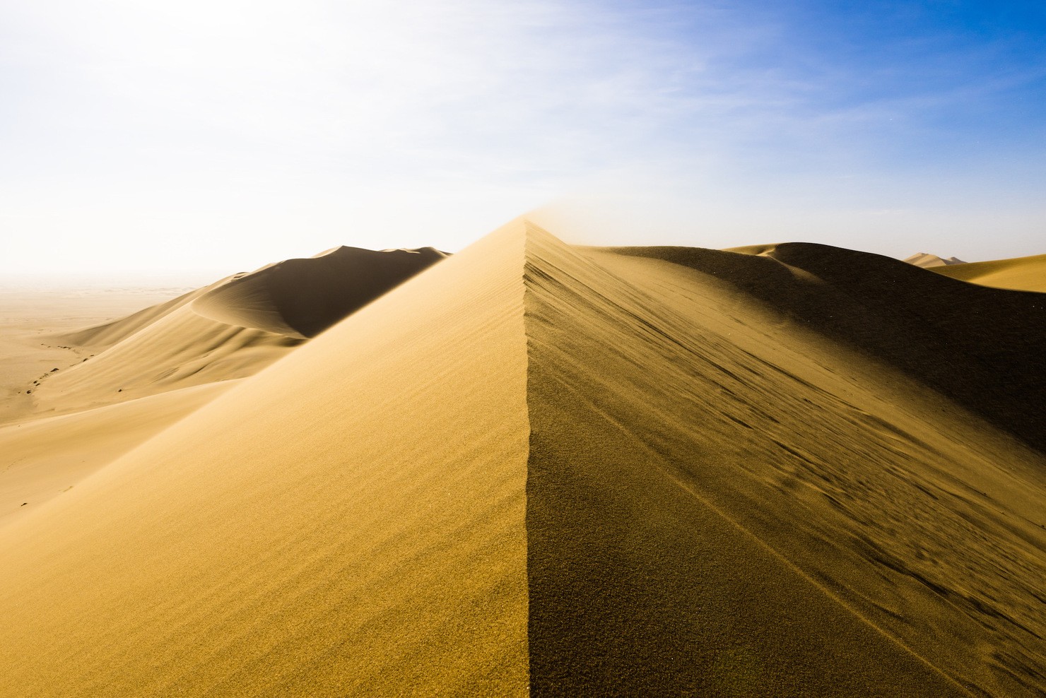 Dune 7 - 伊勢谷紳祐 / Iseya Shinsuke NFTs | Adam byGMO