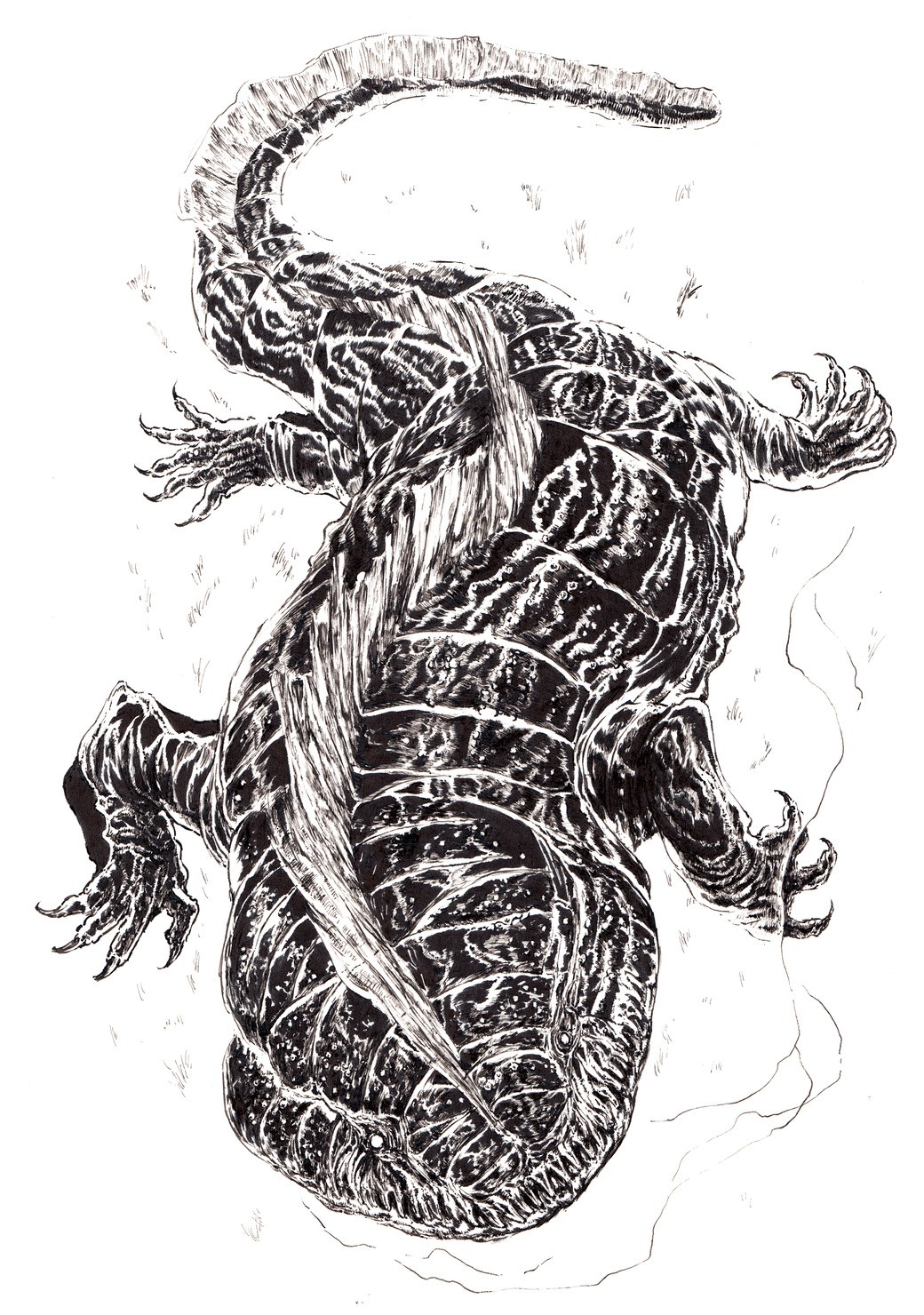 メガサンショウウオ #10/10の取引履歴 | Adam byGMO