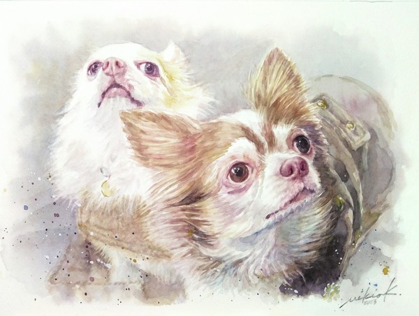 癒しの水彩画_犬の肖像 - Mikio_kのNFT | Adam byGMO