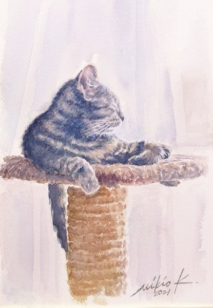 微睡む子猫 - Mikio_kのNFT | Adam byGMO