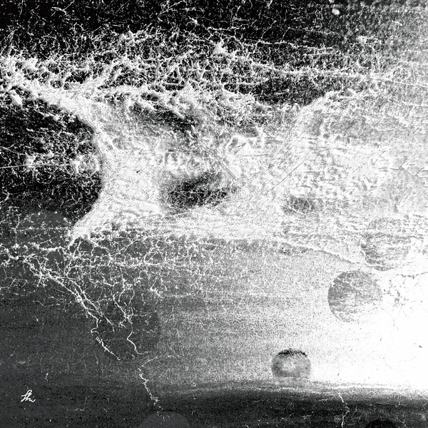 ＝MU＝ #6/15 - Rainbow Cross Section -林谷隆志 NFTArt Shop-のNFT | Adam byGMO