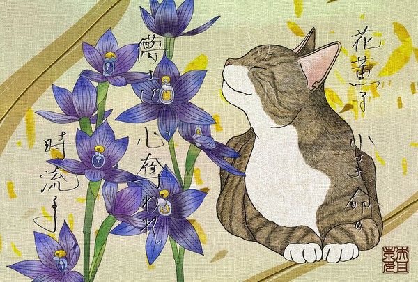 猫26【ハガキサイズ】花薫る小さき命の儚さに 心奪われ時流るる - みおため（Mio Tame）のNFT | Adam byGMO