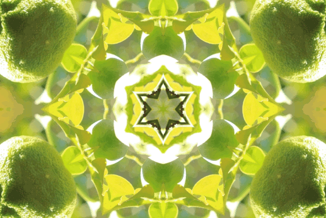 yuzu_roop - 万華鏡画像販売のNFT | Adam byGMO