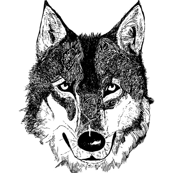 Hi, Wolf! #1/10 - COTSUBAKIのNFT | Adam byGMO