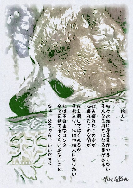 捨人 #12/100 - 不自由なコンタのNFT | Adam byGMO