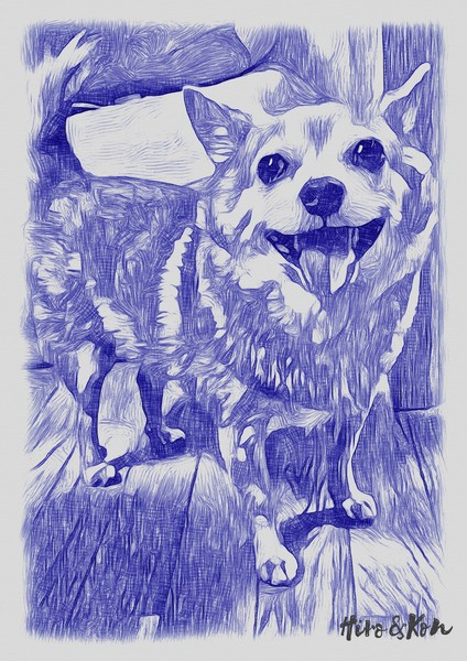 konta-np05 #8/100 - 不自由なコンタのNFT | Adam byGMO