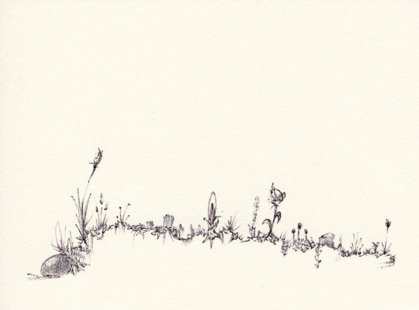 雑草075NFT #5/5 - 鈴木泰人 / YasのNFT | Adam byGMO