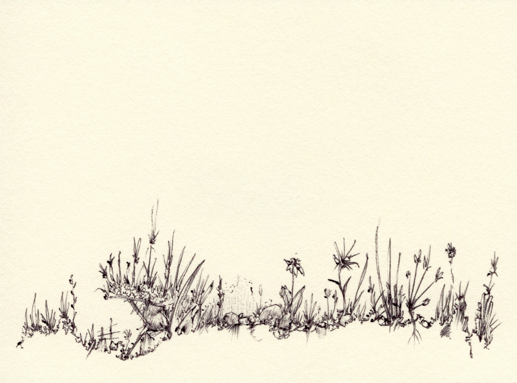 雑草081NFT #4/5 - 鈴木泰人 / YasのNFT | Adam byGMO