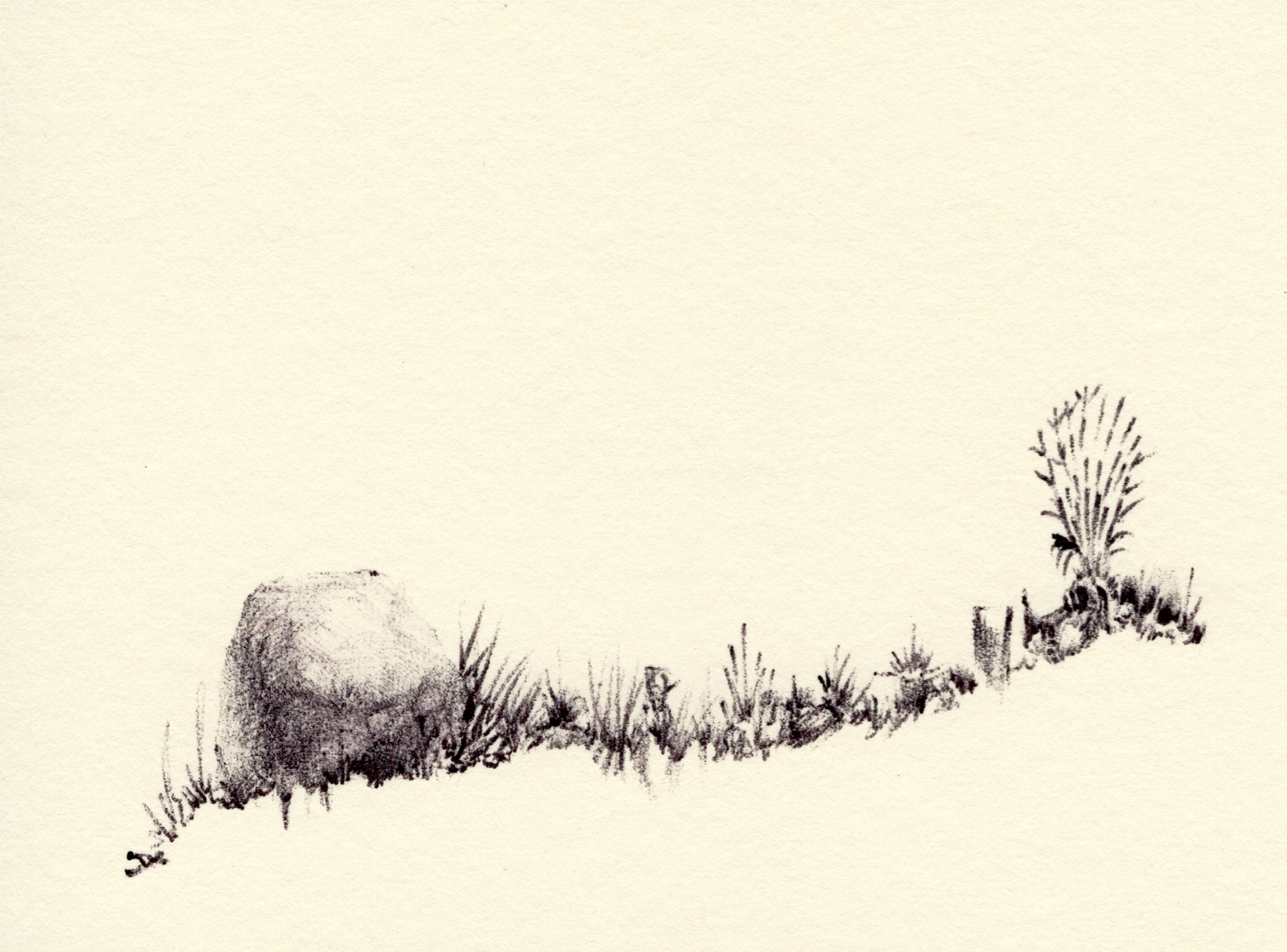 雑草084NFT #4/5 - 鈴木泰人 / YasのNFT | Adam byGMO