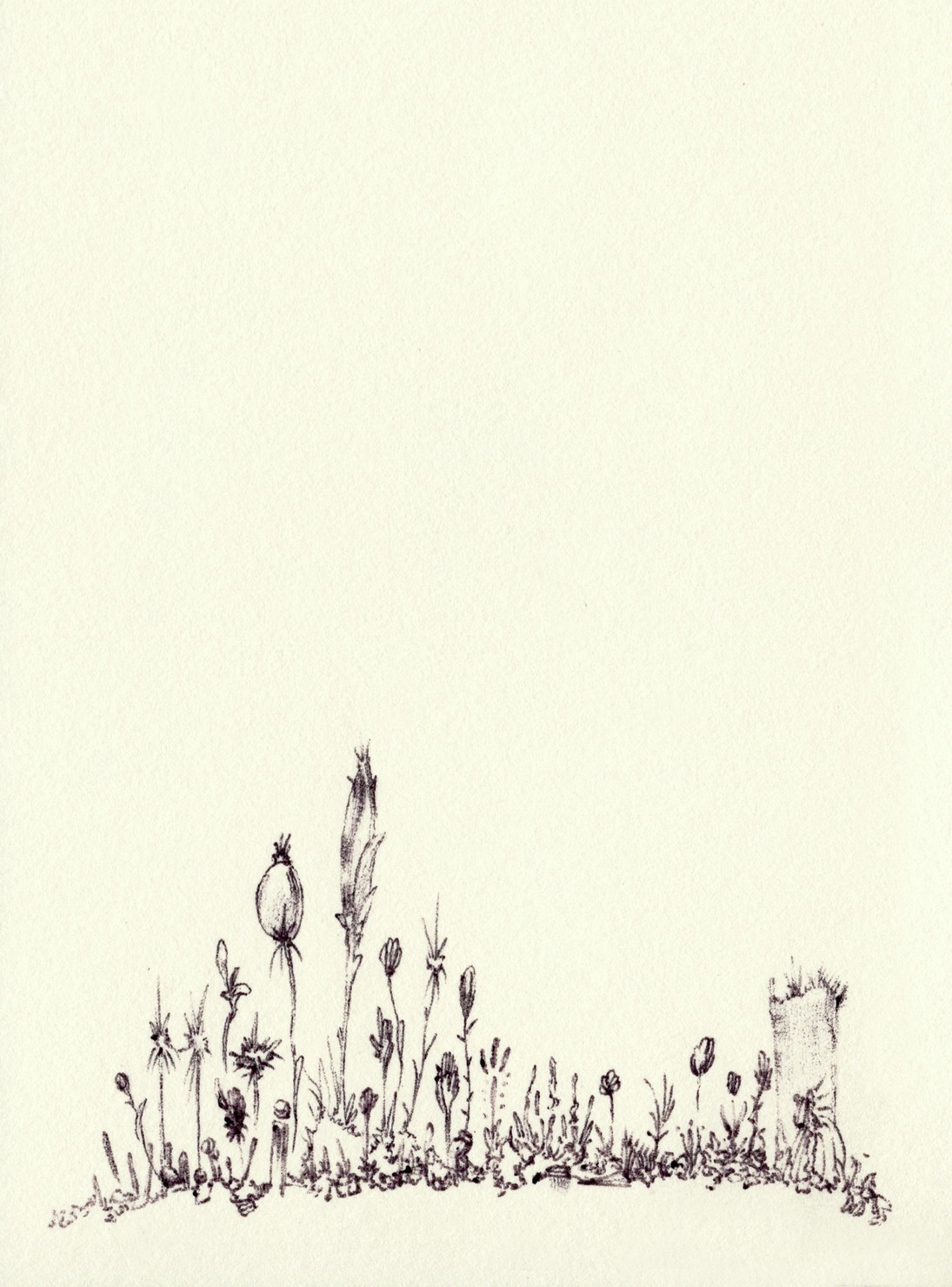 雑草107NFT #4/5 - 鈴木泰人 / YasのNFT | Adam byGMO