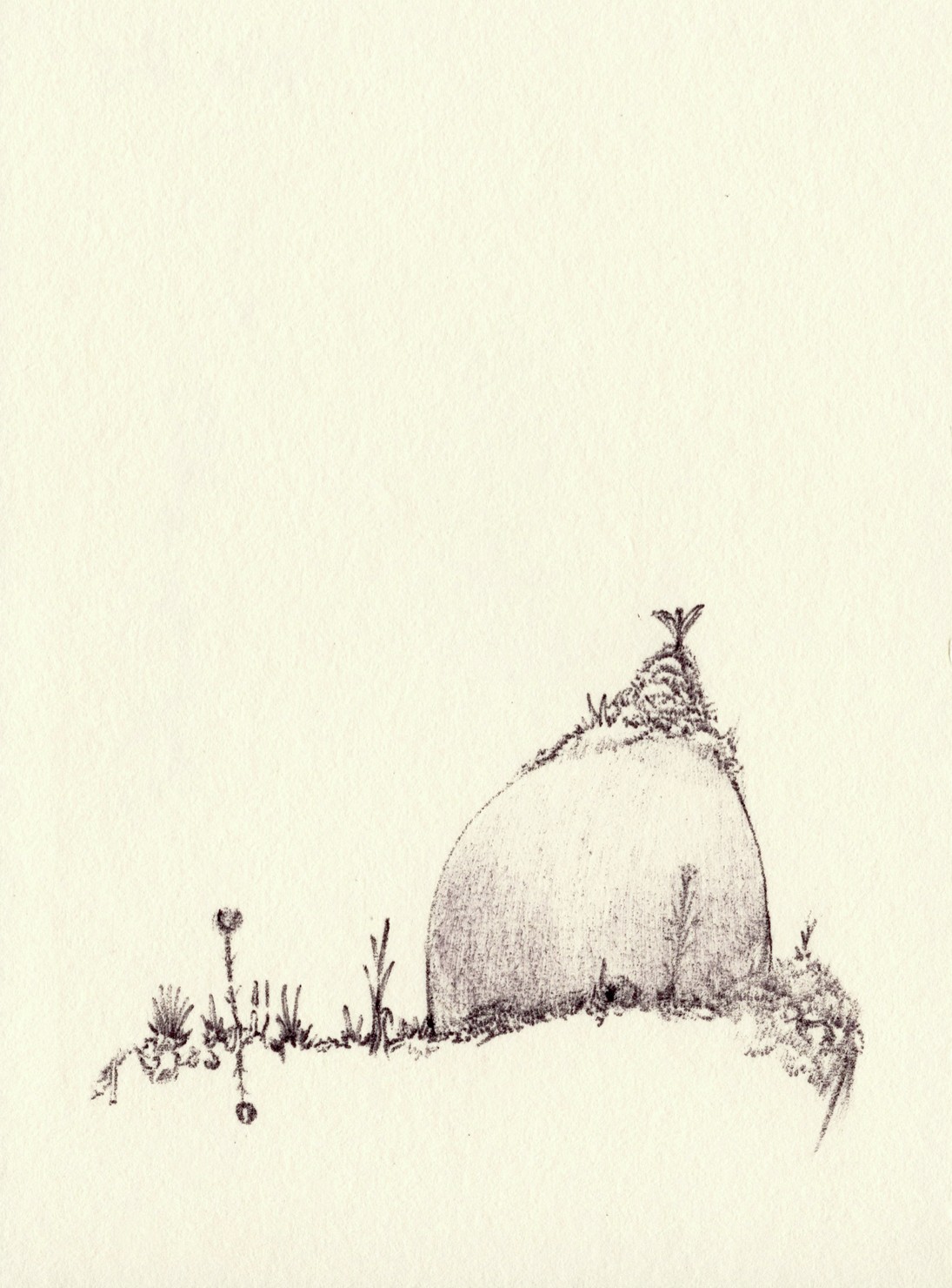 雑草140NFT #3/5 - 鈴木泰人 / YasのNFT | Adam byGMO