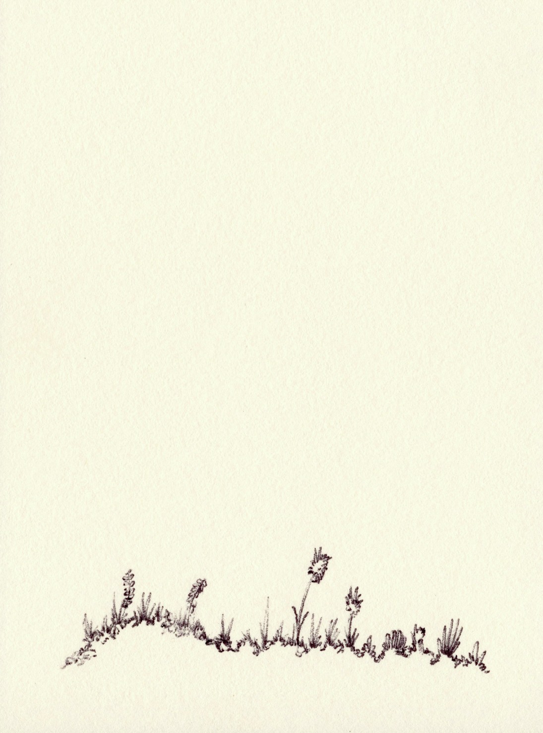 雑草157NFT #1/5 - 鈴木泰人 / YasのNFT | Adam byGMO