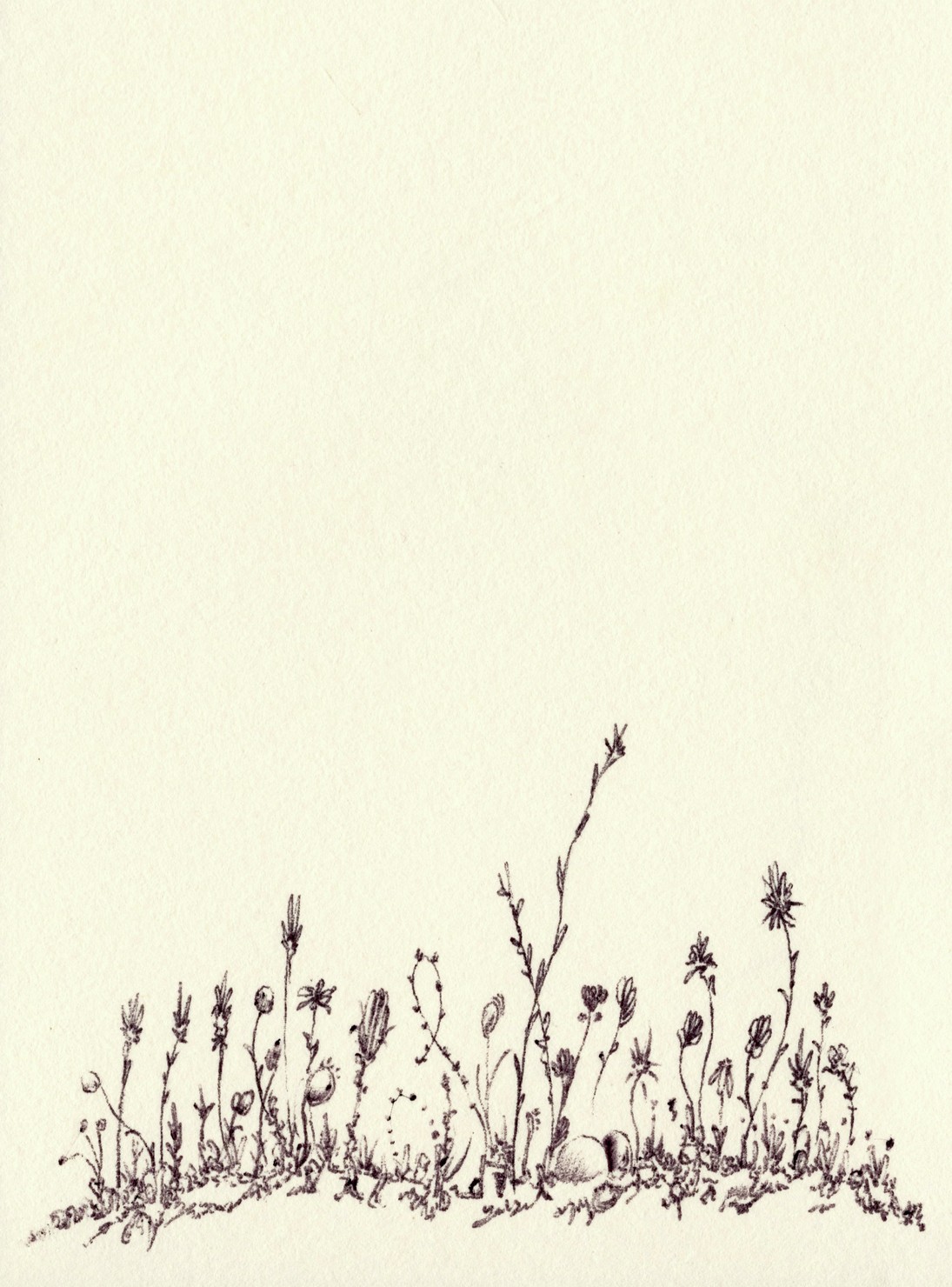 雑草159NFT #1/5 - 鈴木泰人 / YasのNFT | Adam byGMO