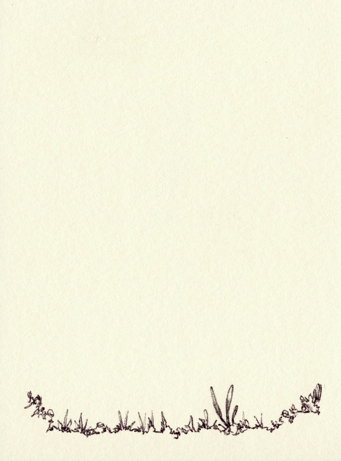 雑草178NFT #1/5 - 鈴木泰人 / YasのNFT | Adam byGMO