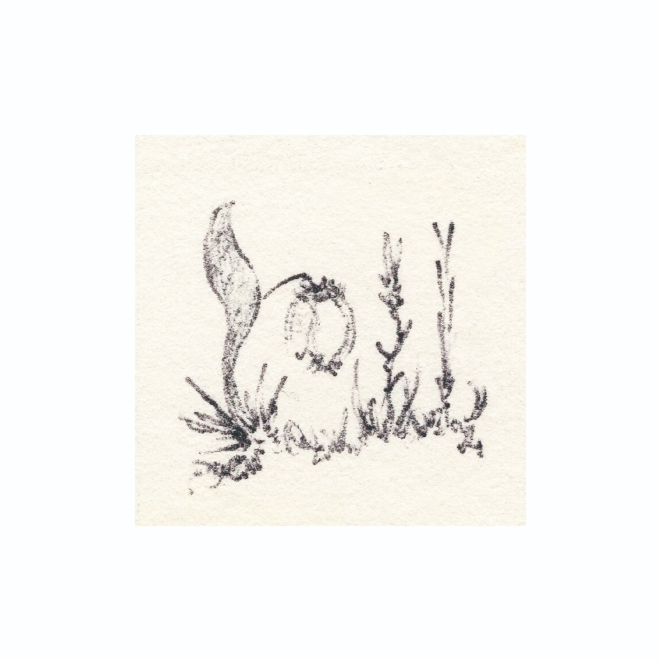 花マス13NFT - 鈴木泰人 / YasのNFT | Adam byGMO