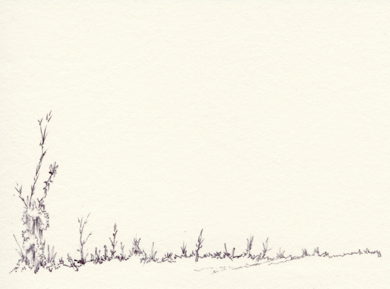 雑草048NFT #3/5 - 鈴木泰人 / YasのNFT | Adam byGMO