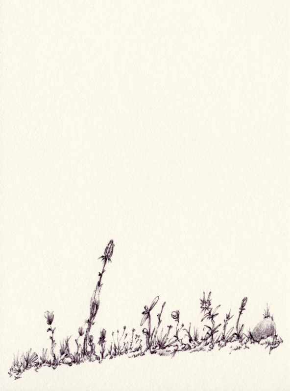 雑草056NFT #5/5 - 鈴木泰人 / YasのNFT | Adam byGMO