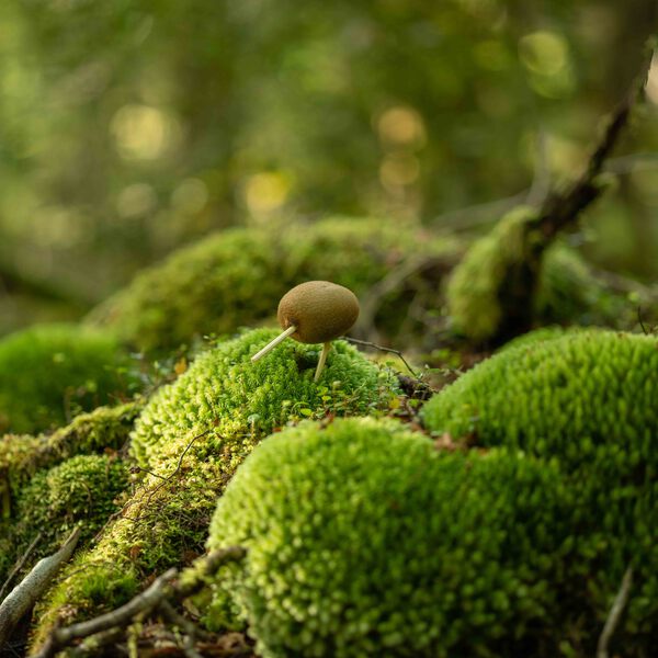 初めてのNFTならAdam byGMO｜アダムでアートをクレカや暗号資産（仮想通貨）で購入