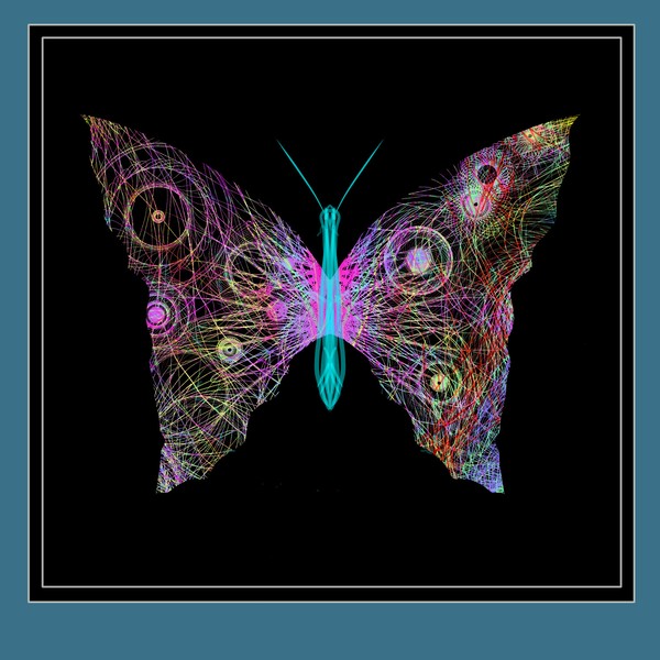 butterflies（mikazuki） | Adam byGMO