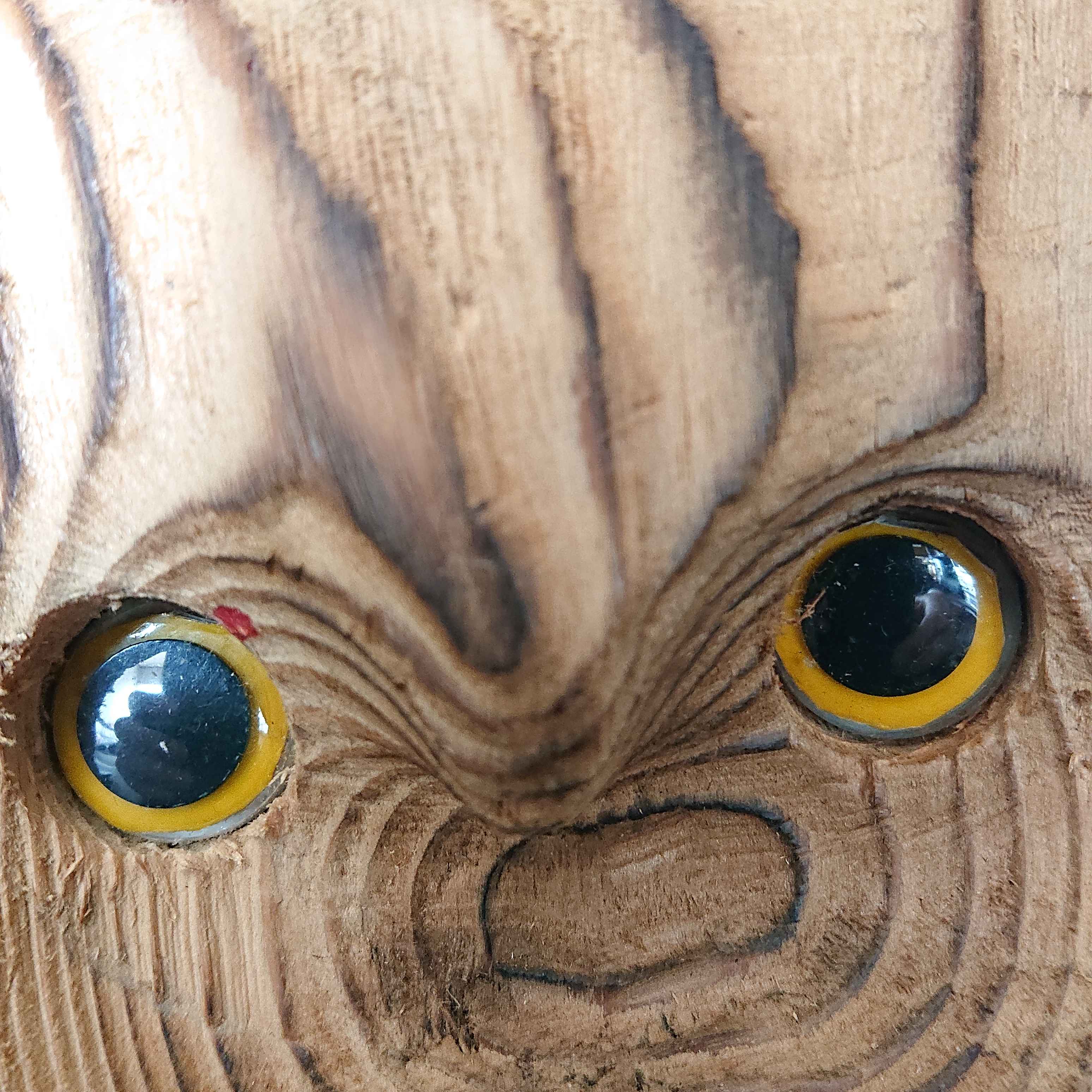 Keiichiro - プロフィール | Adam byGMO