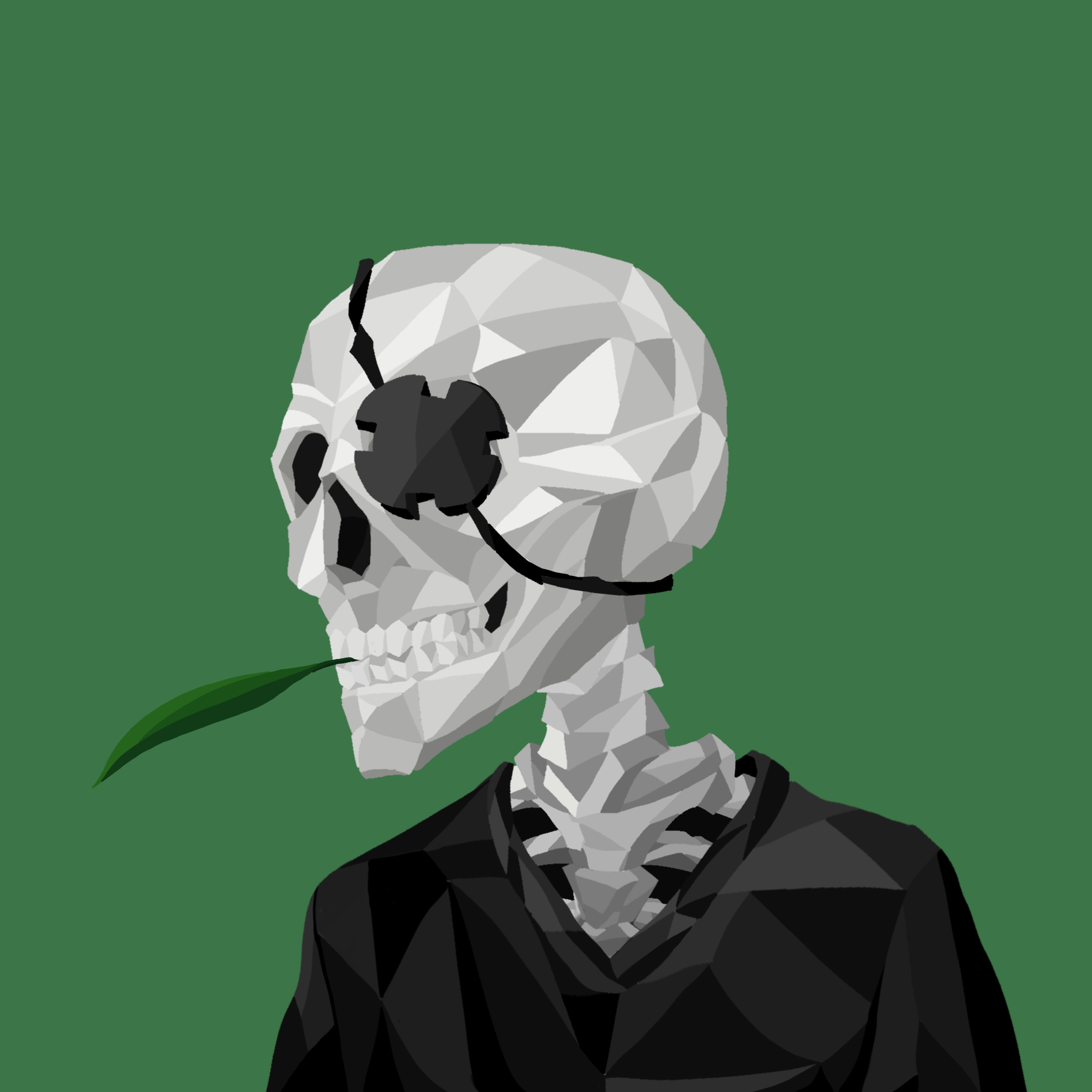 Polygon creatorプロフィール | Adam byGMO