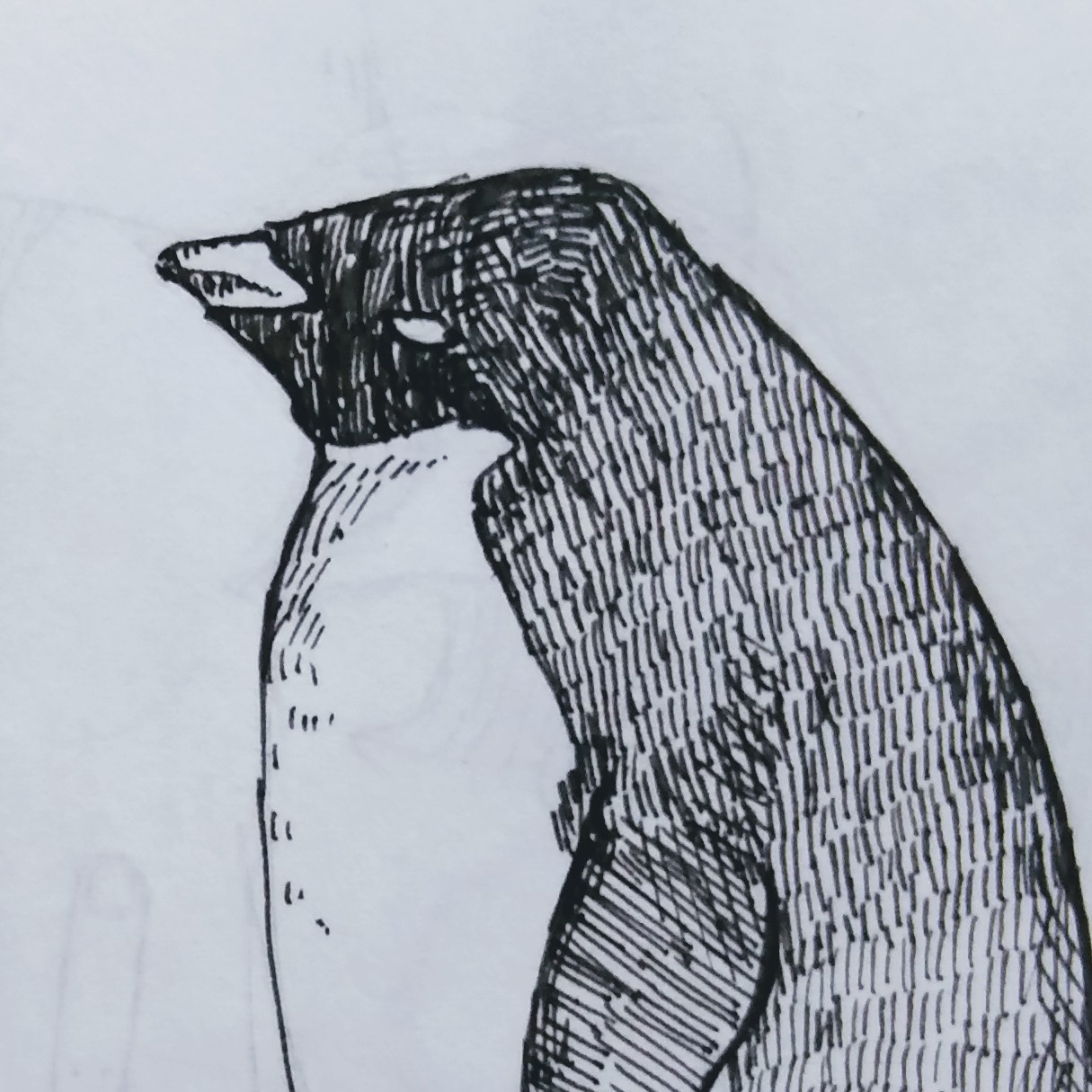 とうてんこ - プロフィール | Adam byGMO