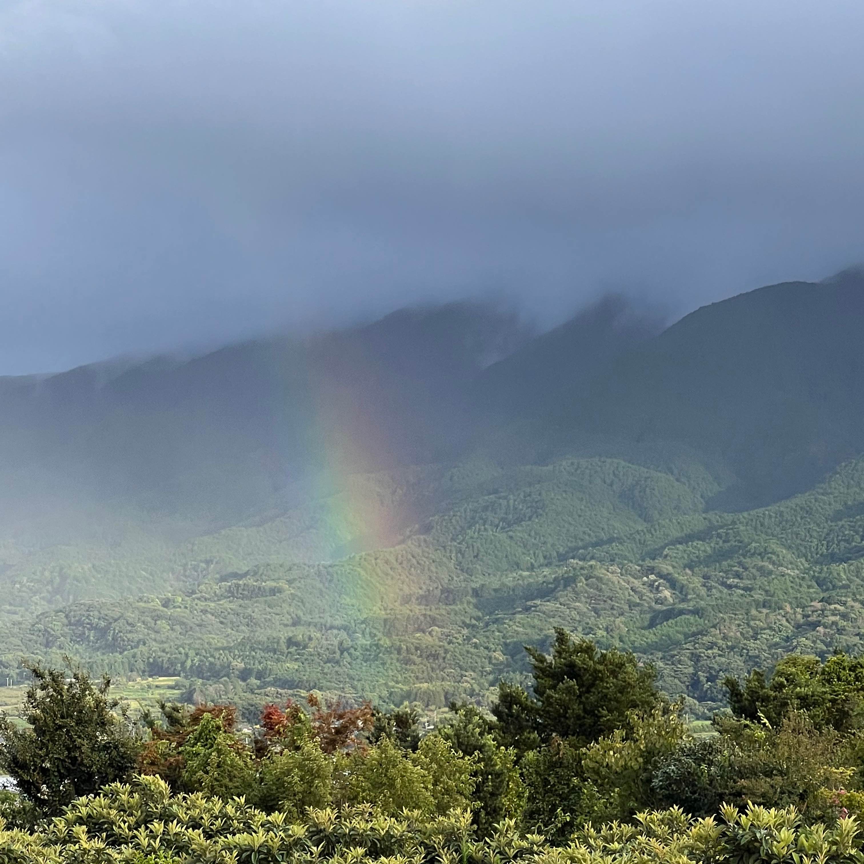 Mother.rainbow - プロフィール | Adam byGMO