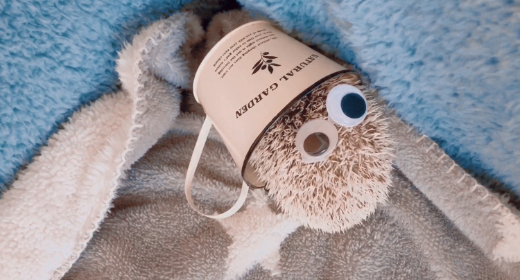 emi_4 - プロフィール | Adam byGMO