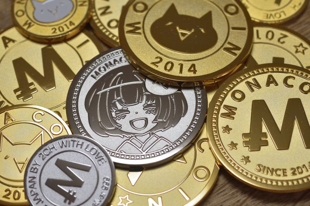 nekotaプロフィール | Adam byGMO